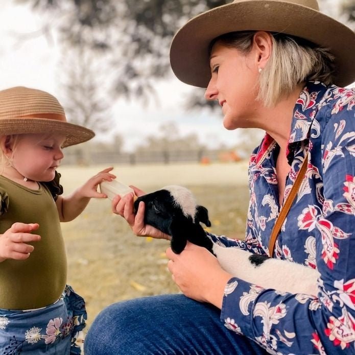 Farm Tour And Picnic Lunch At Splitters Farm