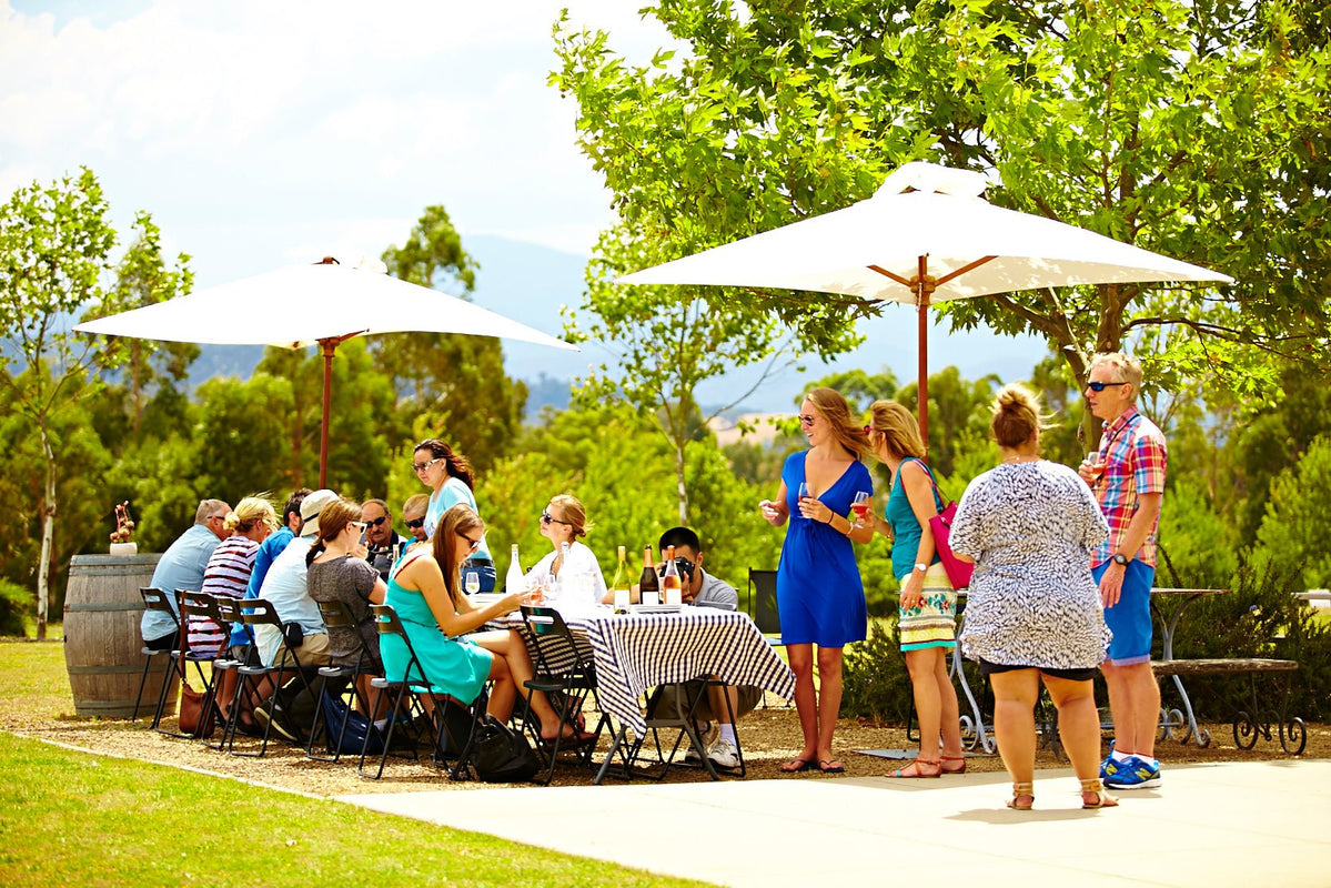 The Wine Hub Wine And Dine Experience