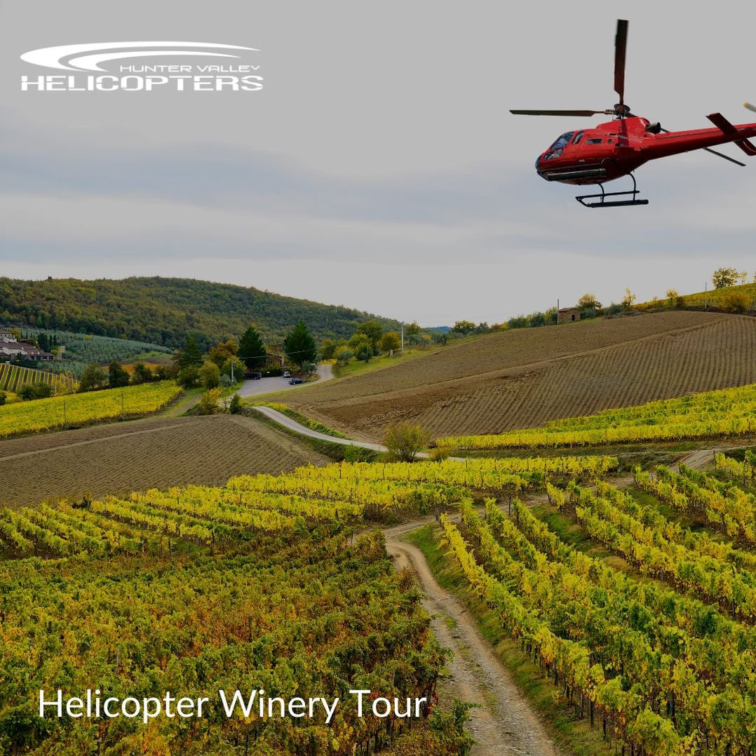 Ultimate - Experience Collection